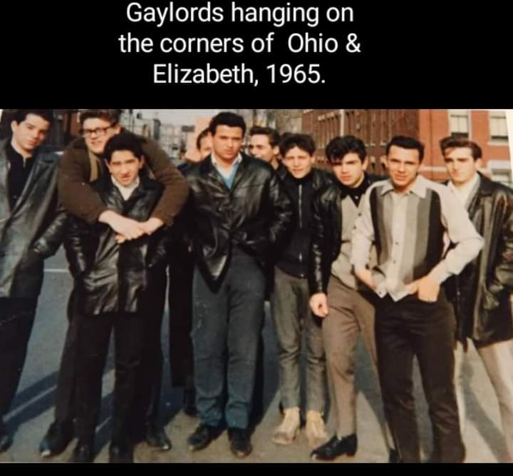 Gaylords - Chicago Gang History