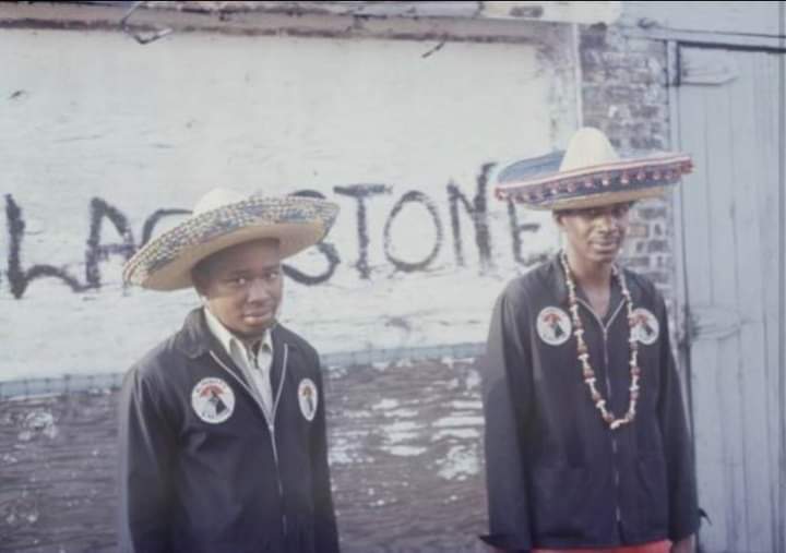 Mickey Cobras - Chicago Gang History