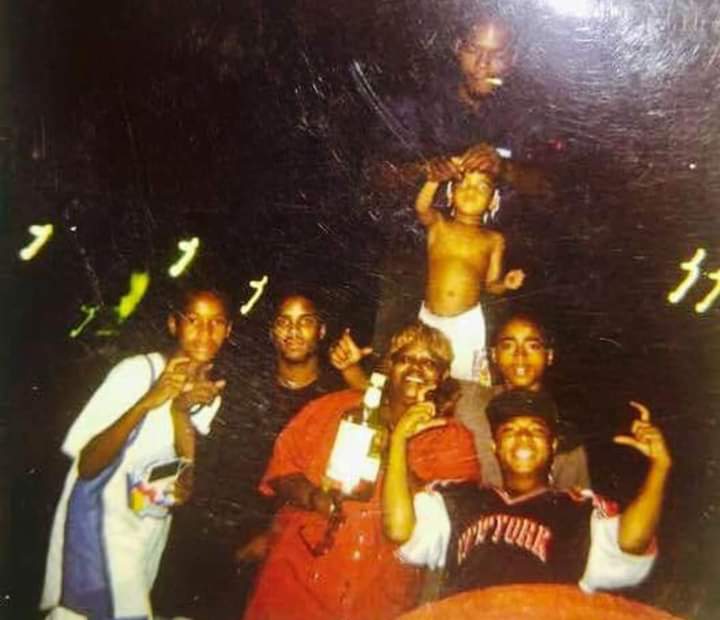 Mickey Cobras - Chicago Gang History