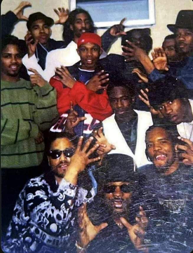 Mickey Cobras - Chicago Gang History