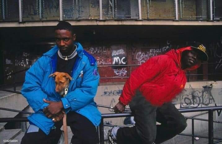 Mickey Cobras - Chicago Gang History