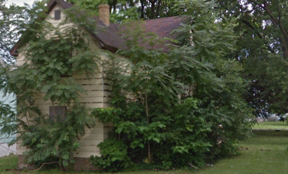 Kankakee - Chicago Gang History