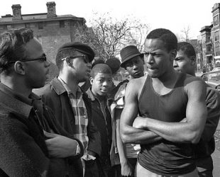 Dedicated to 20th Century Gang History - Chicago Gang History