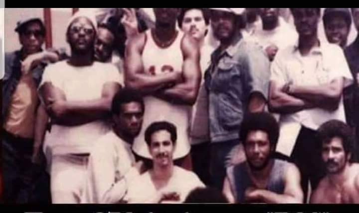 Folk Nation - Chicago Gang History